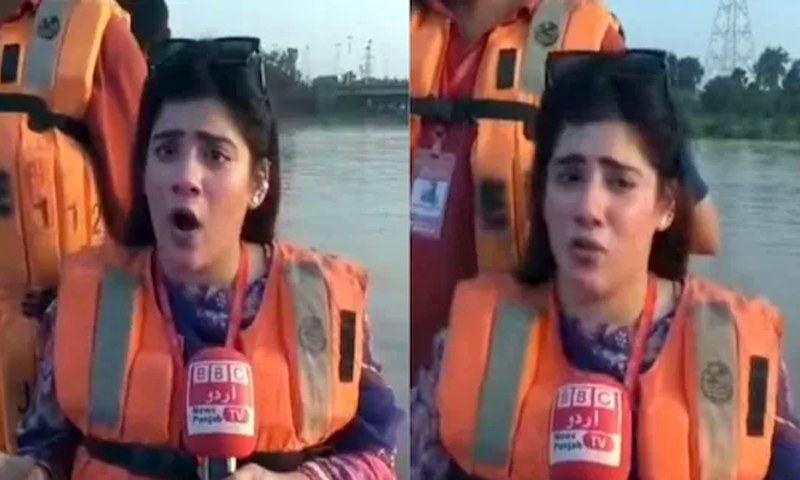 “BBC Stands for ‘Brother Brother Channel,’ Clarifies Viral Reporter ...